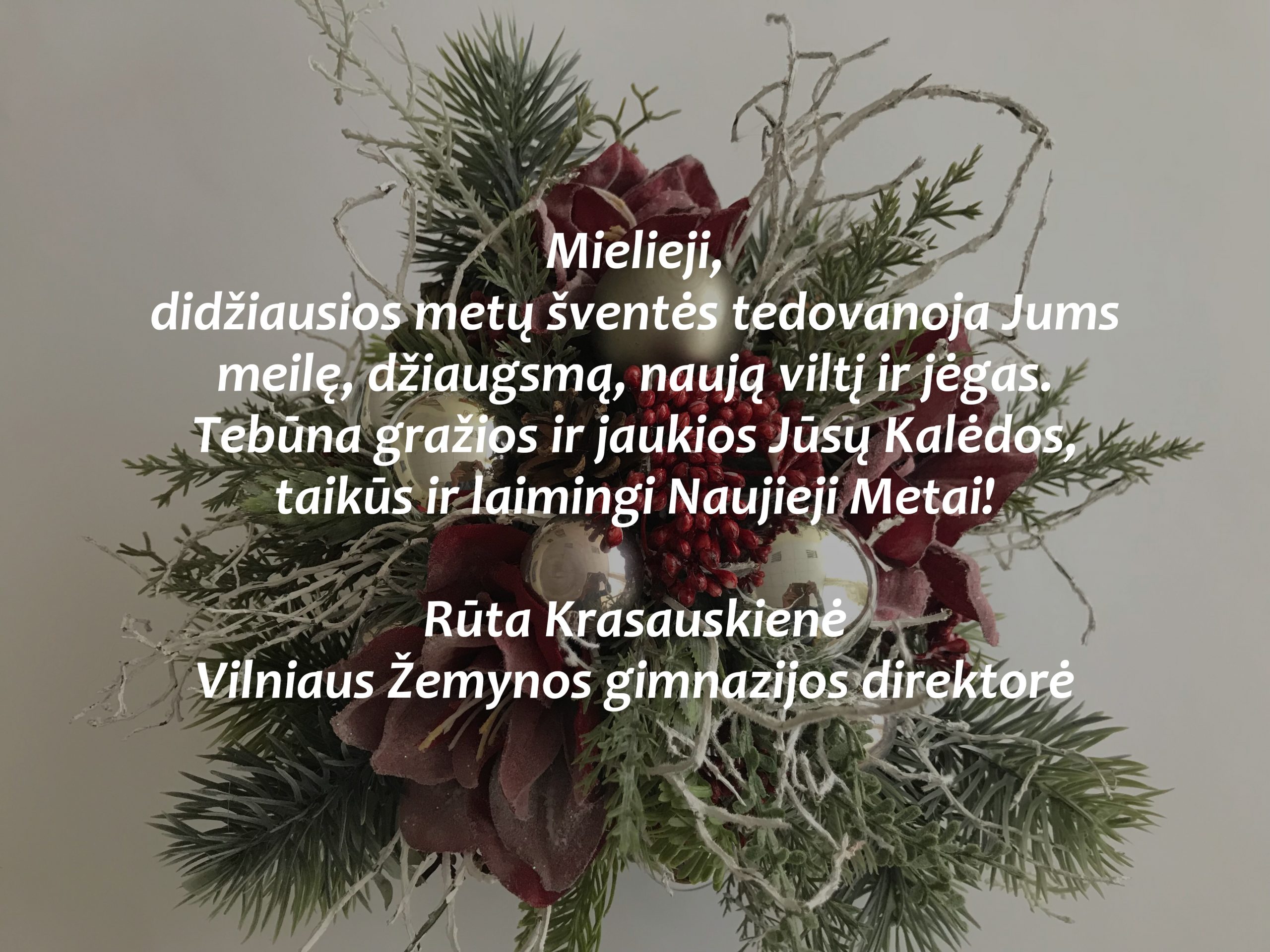 Kalėdinis sveikinimas | Vilniaus Žemynos gimnazija